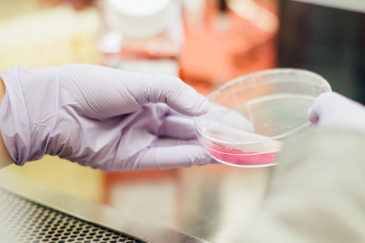 NAMSA acquires UK-based Perfectus Biomed Group to enhance customised ...