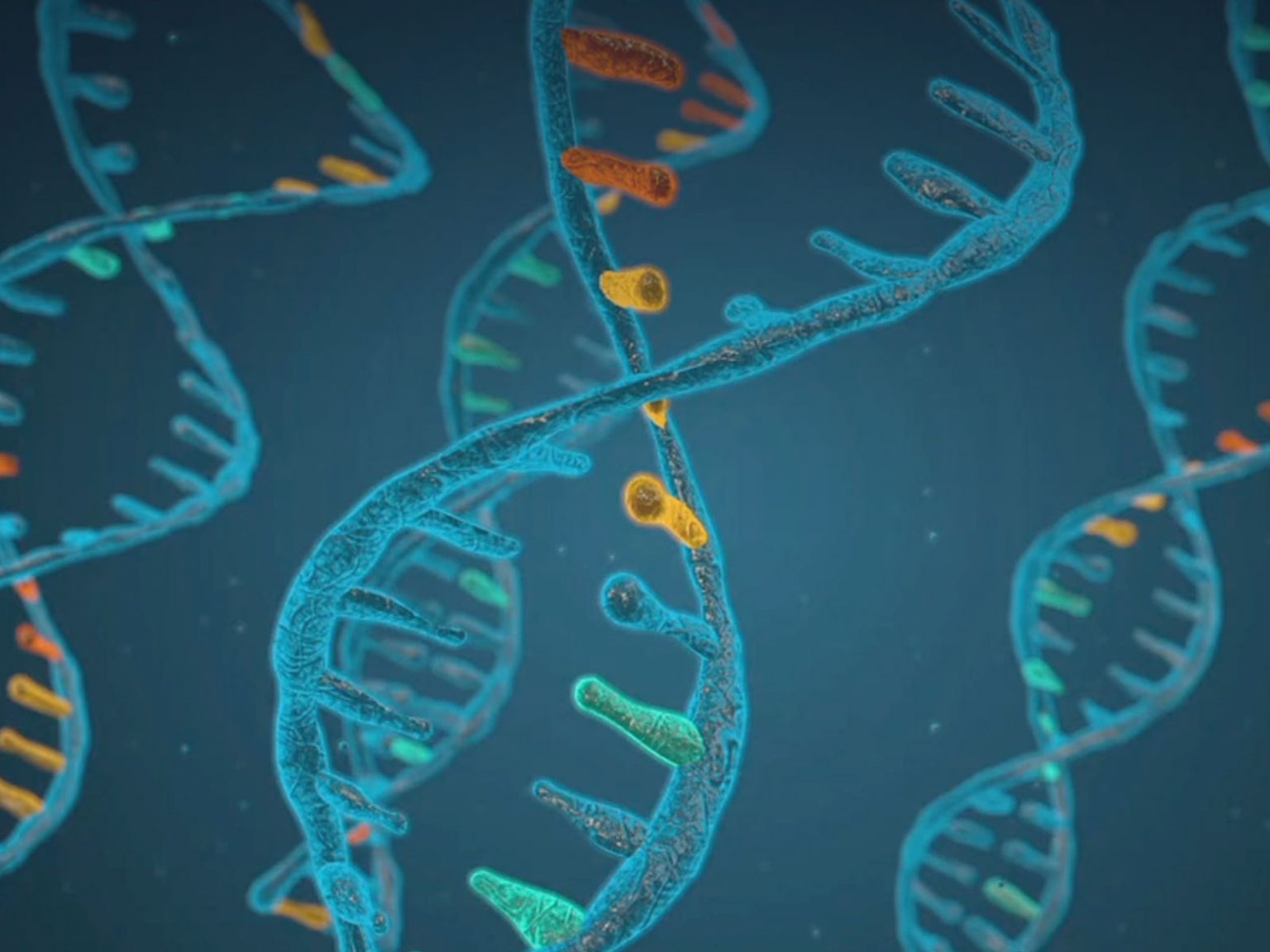 Engineering Biology – UKI2S